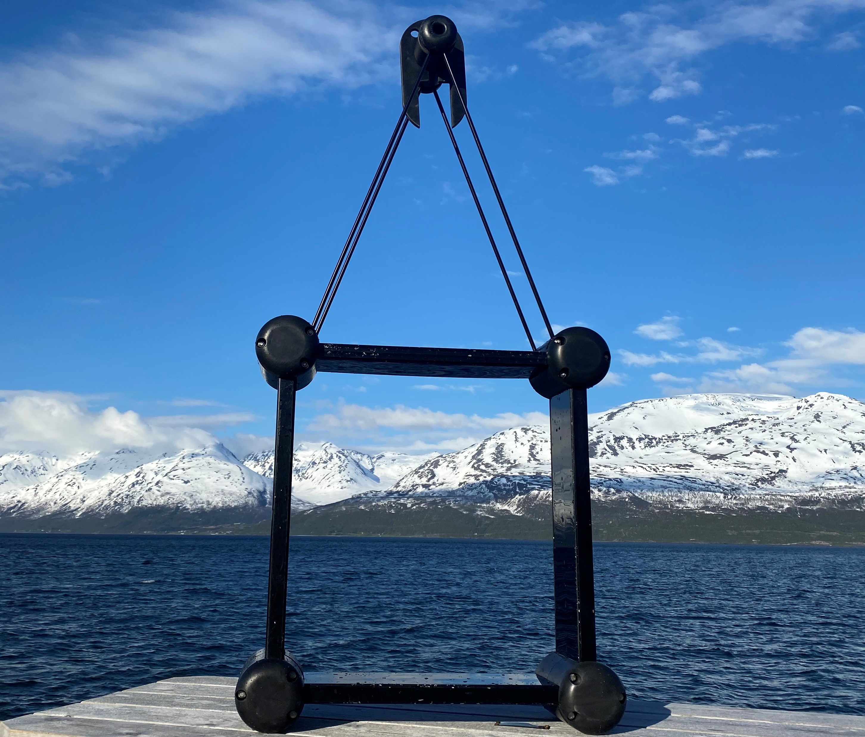 VAKI Biomass Daily Frame