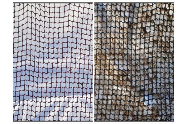 Steen-Hansen - Copper Based Cleaning Aquaculture Nets By ...