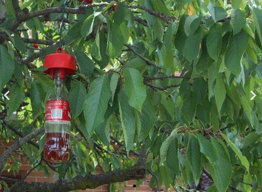 Tap Trap - Red Trap by Tap Trap