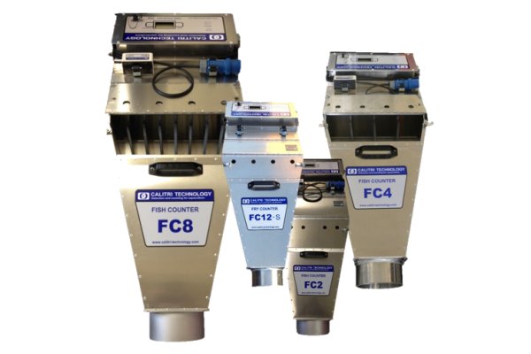 Calitri - FC12/FC8/FC4/FC2 - Fry Counter by Calitri Technology