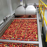 Compac - Infeed & Treatment - Powered Brush Conveyor By Compac Sorting ...