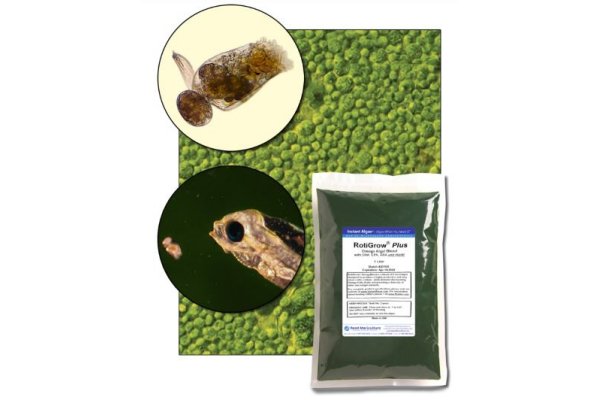Reed Mariculture Rotigrow Plus Enriched Microalgal Rotifer Food