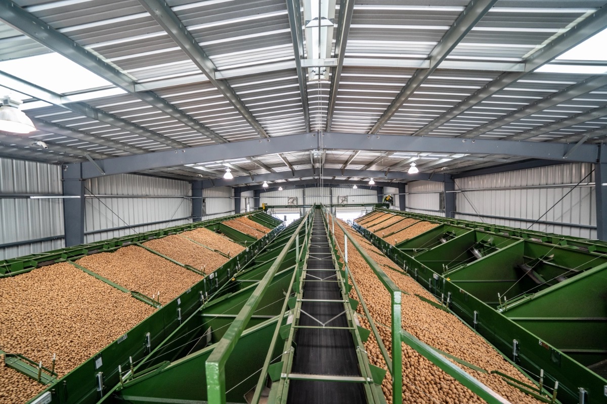 Wizard Manufacturing - Walnut Drying And Hulling Equipment By ...