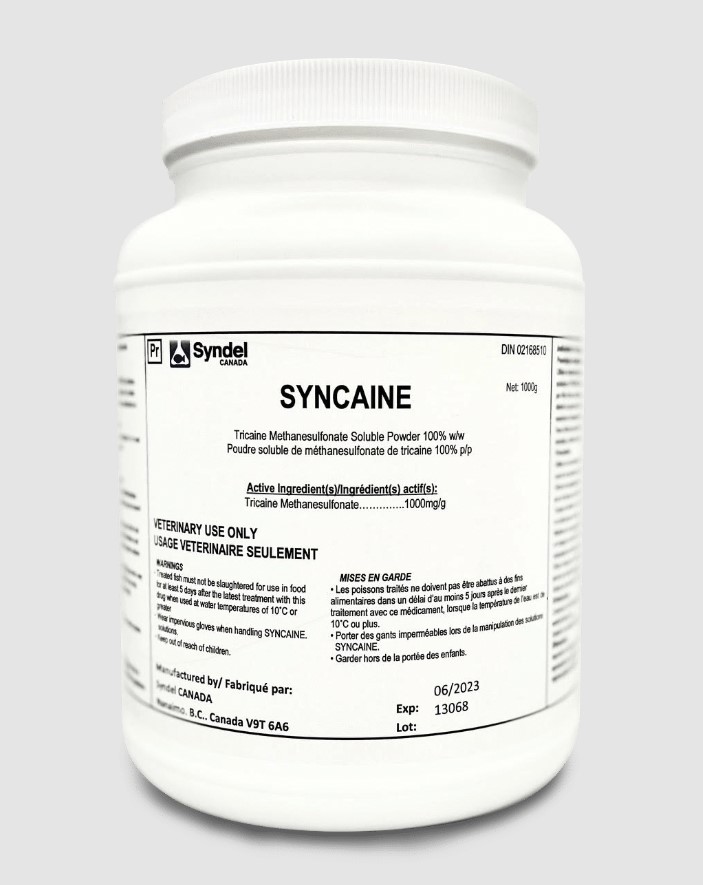 Syncaine - MS-222 - Fish Anesthetics / Fish Sedatives