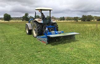 Gason 3PL Proper Topper