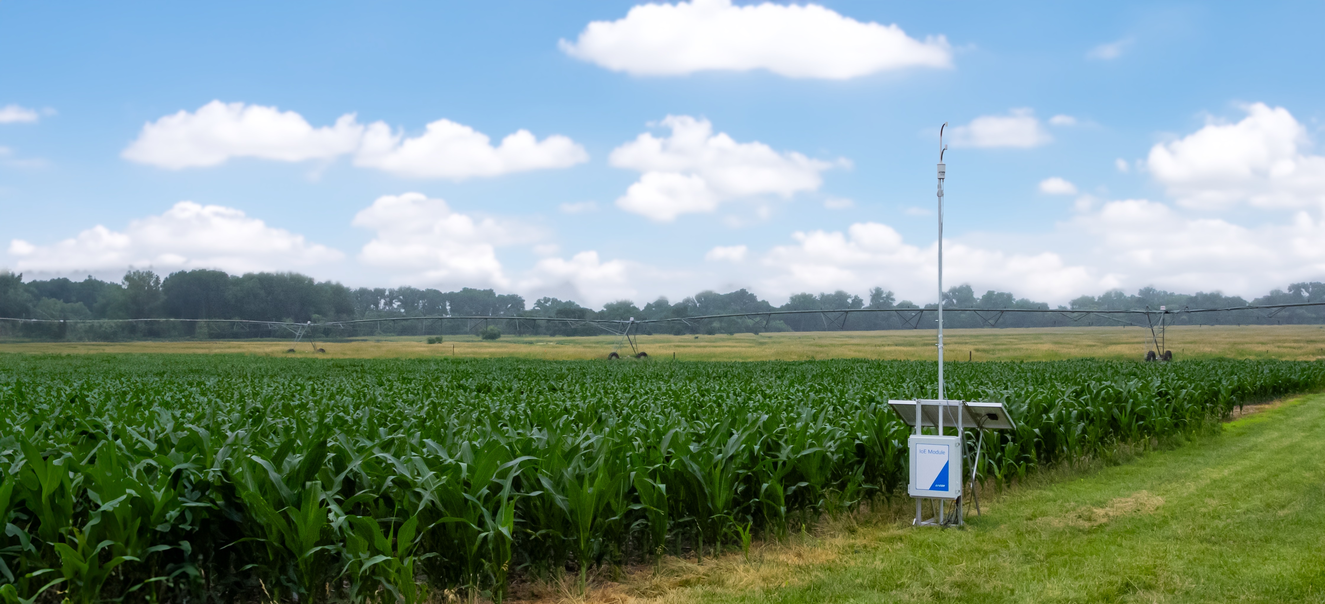 LI-COR Water Node Actual Evapotranspiration Measurements
