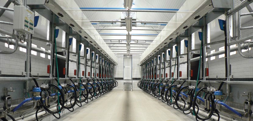 Bauer Technologies For Cattle