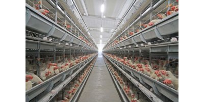 Kutlusan Enriched Cage System