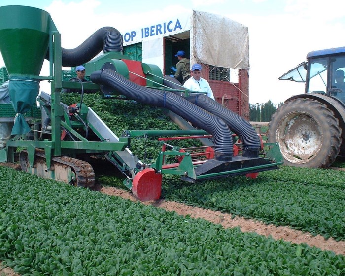 Morrish - GLL 150cm-170cm - Harvesters - Large Tracked ...