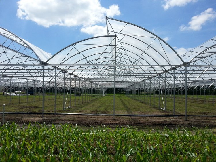 Rovero - Rovero Film Greenhouses - Saw Tooth Film Greenhouse ...