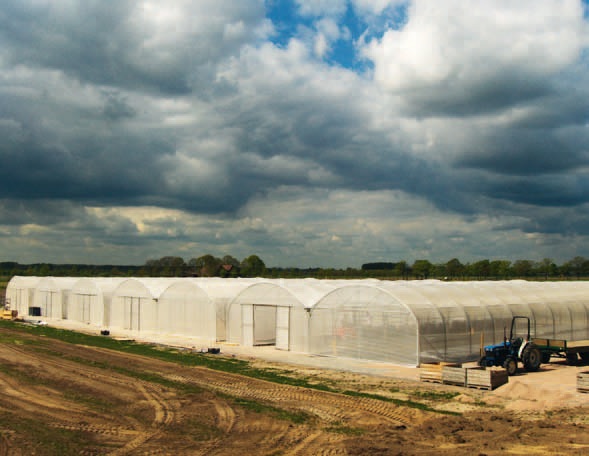 Rovero Insect-Free Tunnel Greenhouses