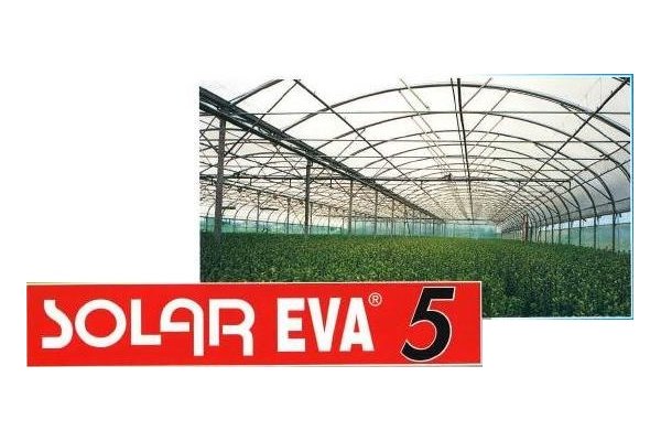 Solar EVA - 5 - Loose Film & Gauze - Solar EVA Film