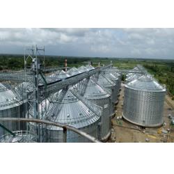 Fowler-Westrup Flat Bottom Silos