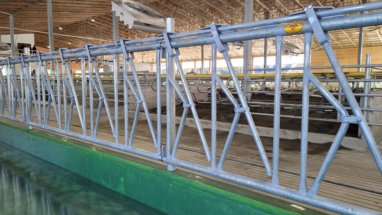 Mid Valley DSLS Double Opening Self-Locking Cattle Stanchion