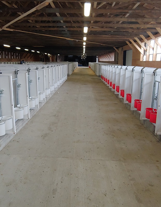 Mid Valley E-Z Clean Calf Rearing Pens