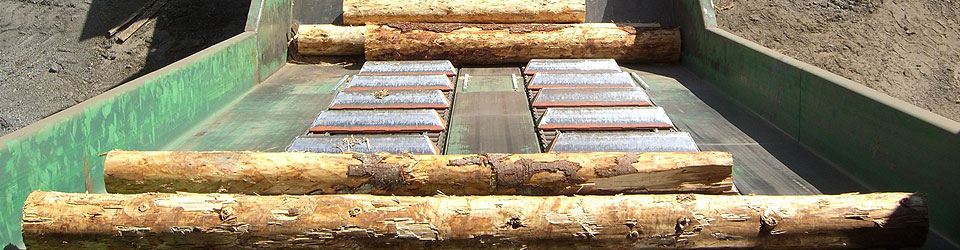 USNR - Lumber Manufacturing - Log Handling - Log Ladder by USNR