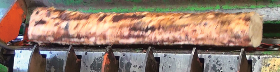 USNR - Lumber Manufacturing - Log Handling - Integrated Log ...