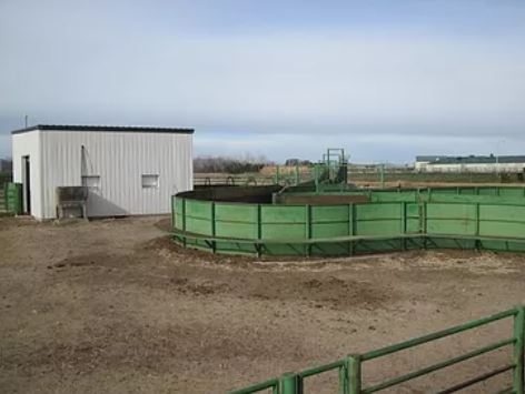 Feedyard Cattle Handling Systems - Single File Chute by ...