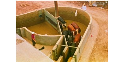 Slaughter, Stockyard & Lairiage Systems for Beef Cattle