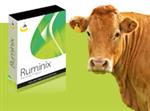 Ruminix Ration Balancer Software