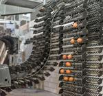 Prinzen Pegasus Smart Egg Transport System