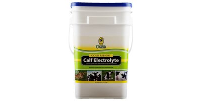 Gold Ribbon Electrolyte Calf Supplement