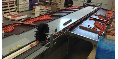 Fachaux - Fruit Machine - Calib Electronic Fruit Sizing ...