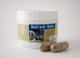 Biofresh - Fresh Cow Solutions - Animal Supplement Bolus by ...