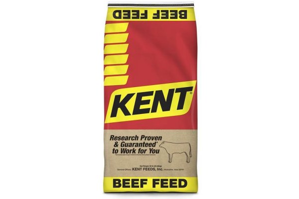 Kent - Beef Cattle Products - Performance Primer by Kent ...