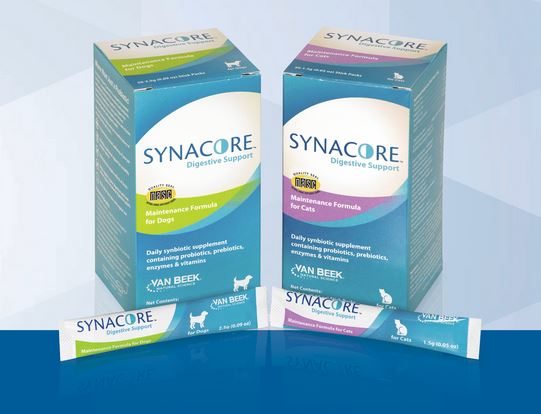 Synacore Uniquely Formulated Digestive Support Supplement