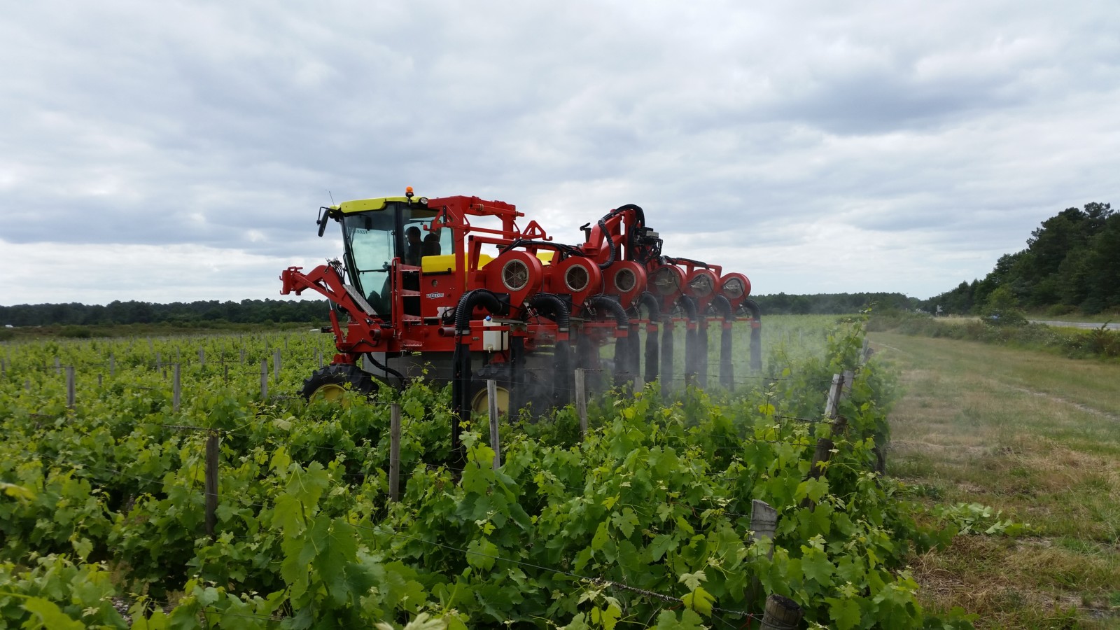 VV 1400 VB - Stradle for Vine and Berries - High Clearence ...
