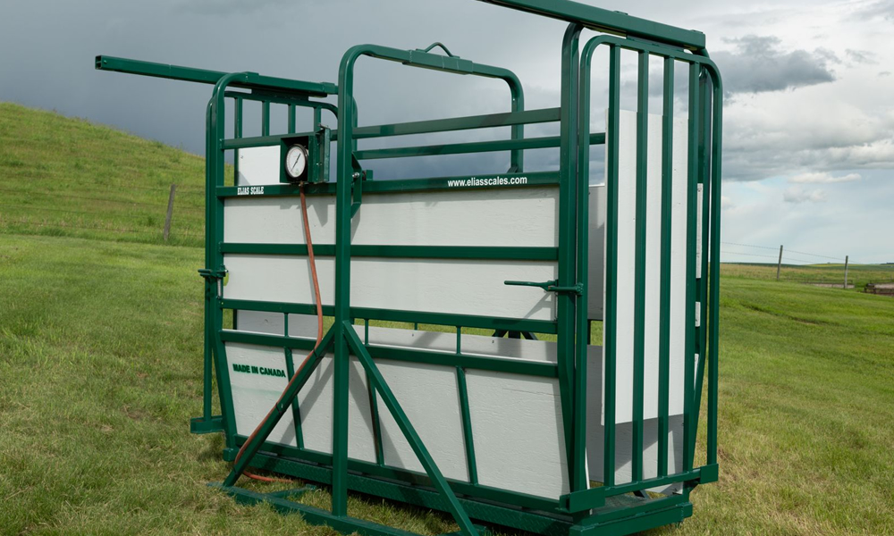 Livestock & Bale Scales - Livestock Crate Scale by 5H ...