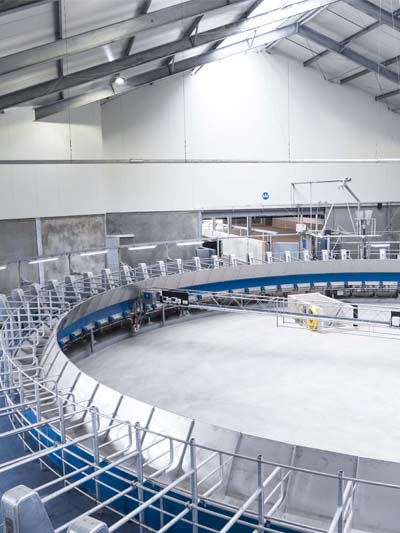 SAC - Traditional Dairy Solutions - Cows - Milking Parlour ...