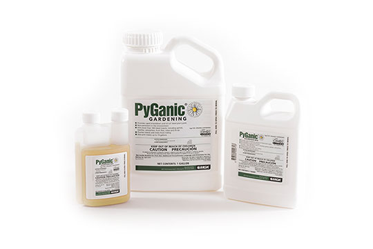 PyGanic - Crop Protection - Gardening by McLaughlin Gormley ...