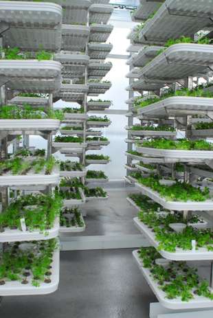 Verticrop Closed Loop Hydroponic Vertical Farming Conveyor System