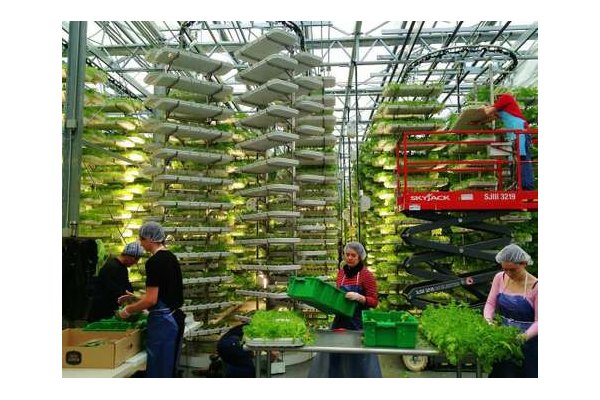 Verticrop Closed Loop Hydroponic Vertical Farming Conveyor System