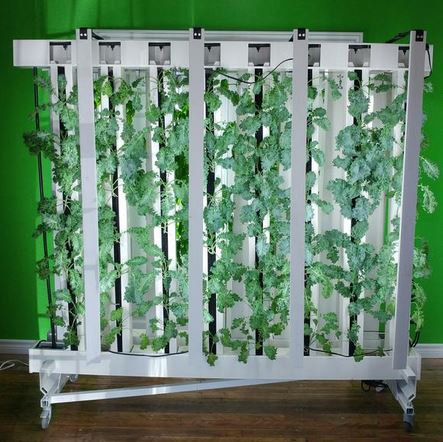 Bright - 1 - Education - Sided Education Rack by ZipGrow Inc.