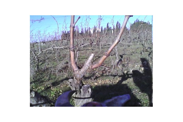 MYCE GisMapRobot - Cartographic (GIS) and Recognition ...