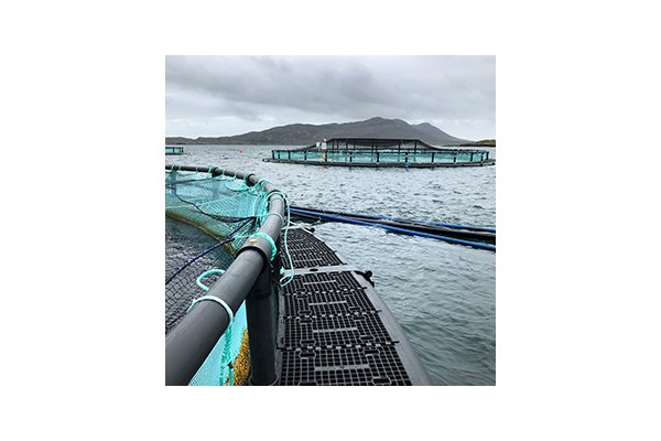 Garware - SAPPHIRE EXCEL - Aquaculture - Grow Out Cage - Grow ...