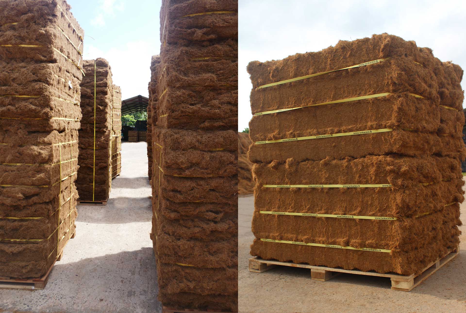 Cut Fiber - Baled - Coconut fiber by Lanka Coco Products ...