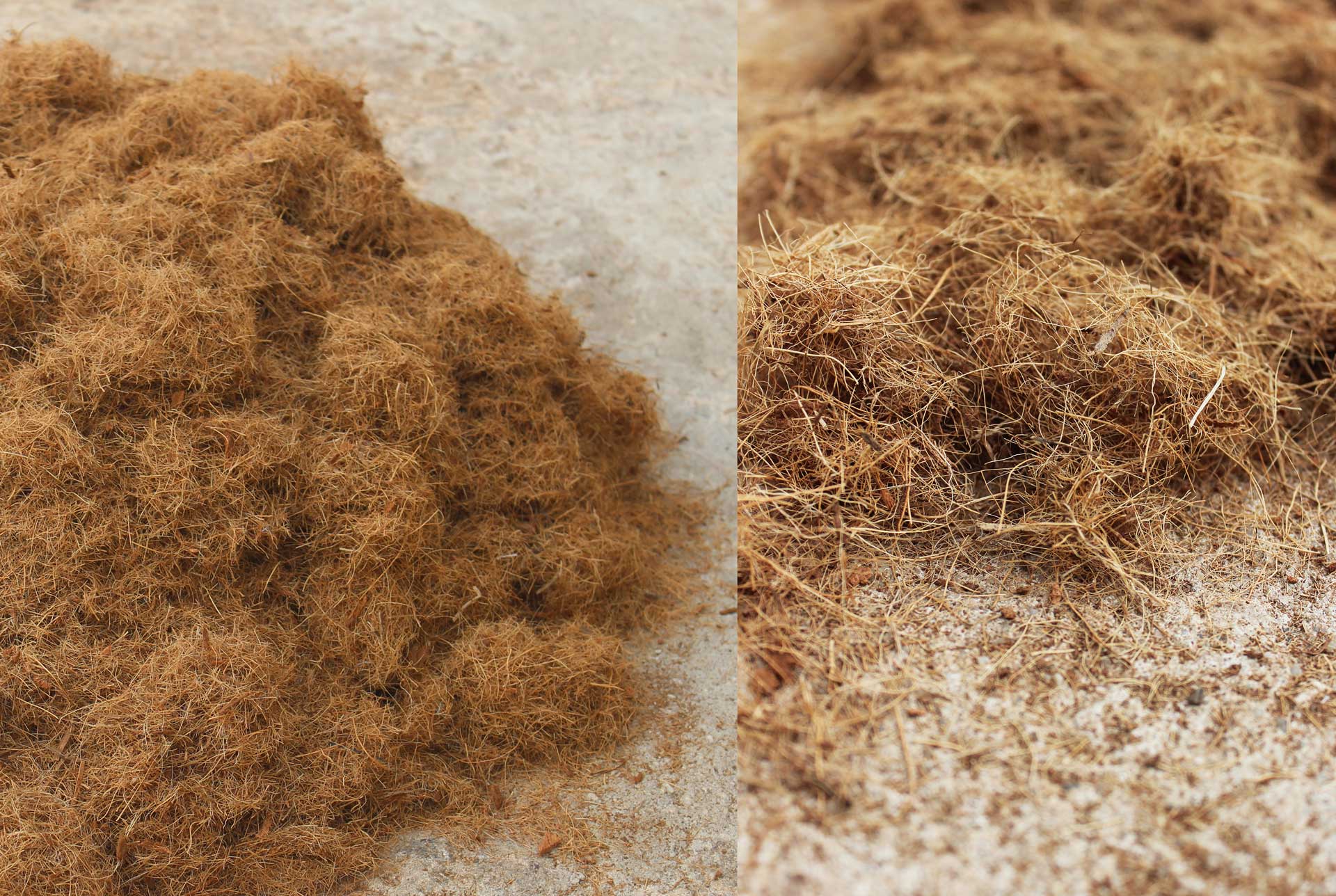 Cut Fiber - Baled - Coconut fiber by Lanka Coco Products ...
