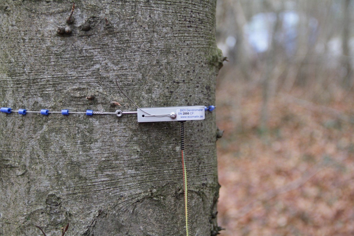 Ecomatik - Ecomatik - Agriculture & Forestry - Plant Growth ...