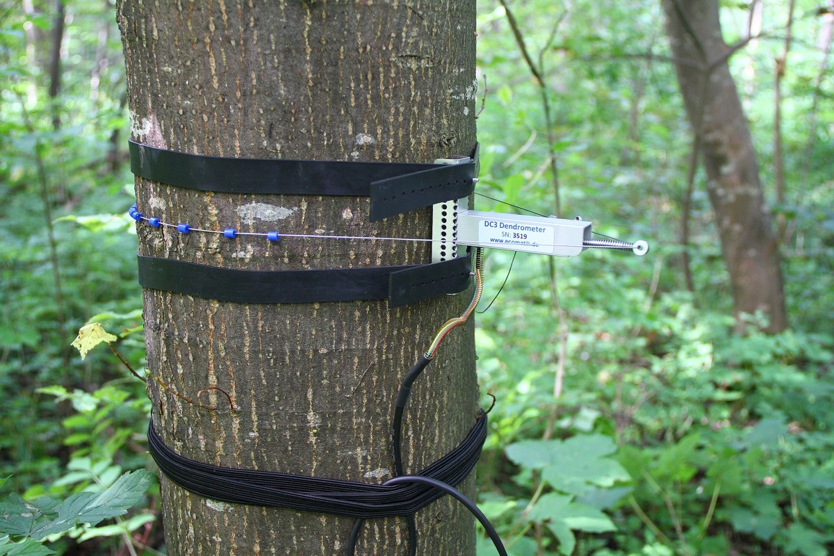 Ecomatik - Ecomatik - Agriculture & Forestry - Plant Growth ...