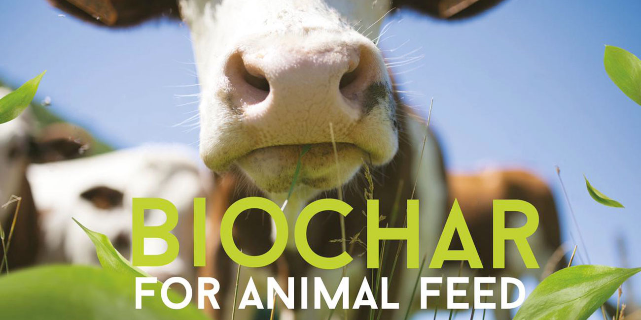 Biochar Animal Feed In Europe: Paving The Way For Sustainable ...
