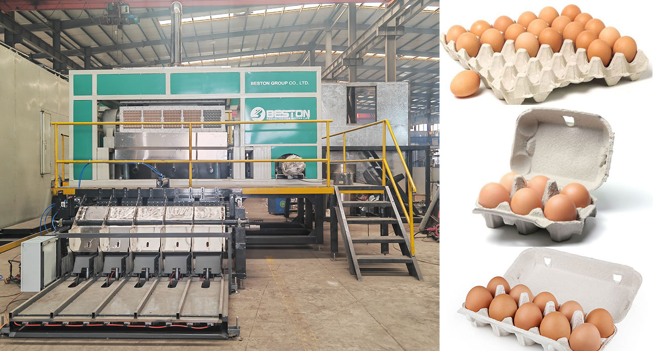 Egg Tray Production: From Manufacturing To Innovation