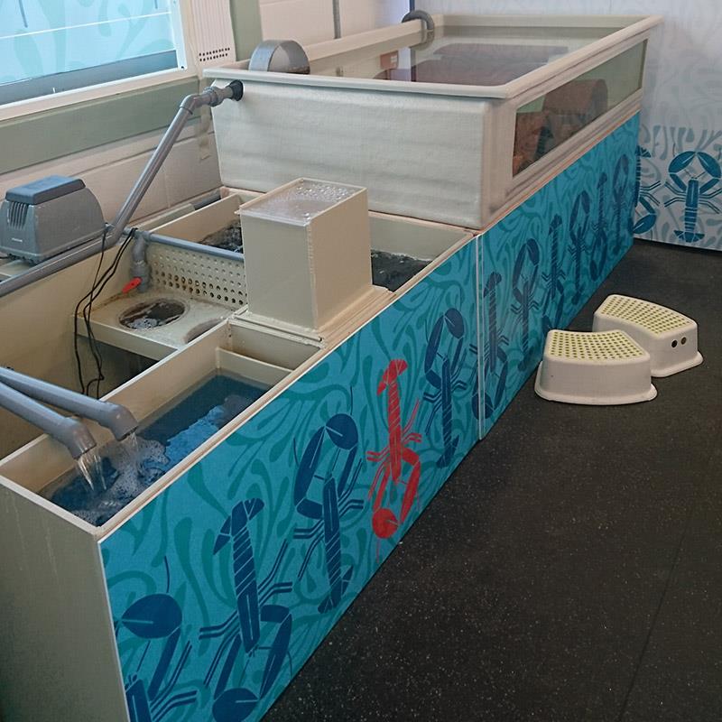 Todd Fish Lobster Hatchery Systems