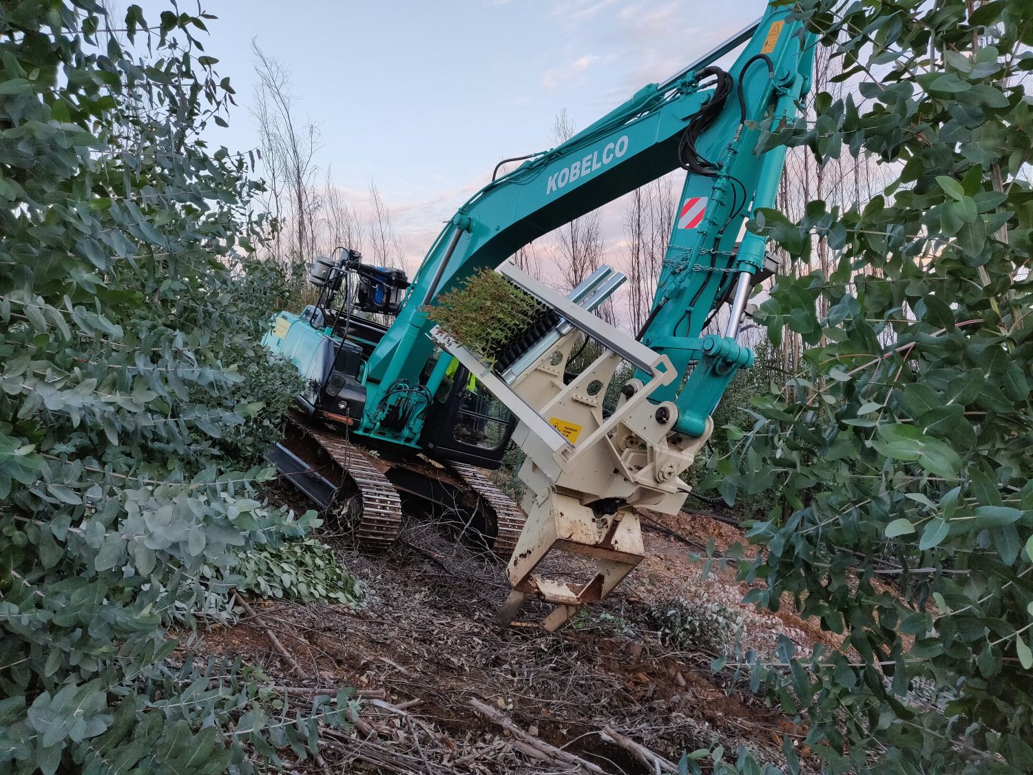 Risutec SKB For Demanding Reforestation