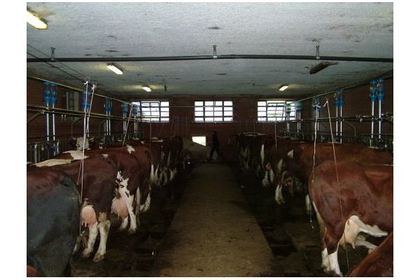 Falcon AC-PVC Fixed Housing Stalls