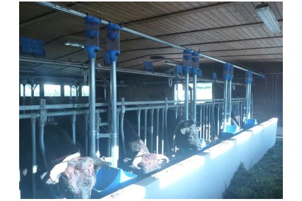 Falcon AC-PVC Fixed Housing Stalls