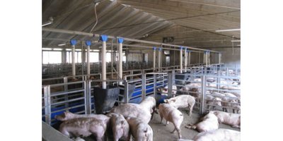 Falcon AD Libitum Pig Feeding Systems